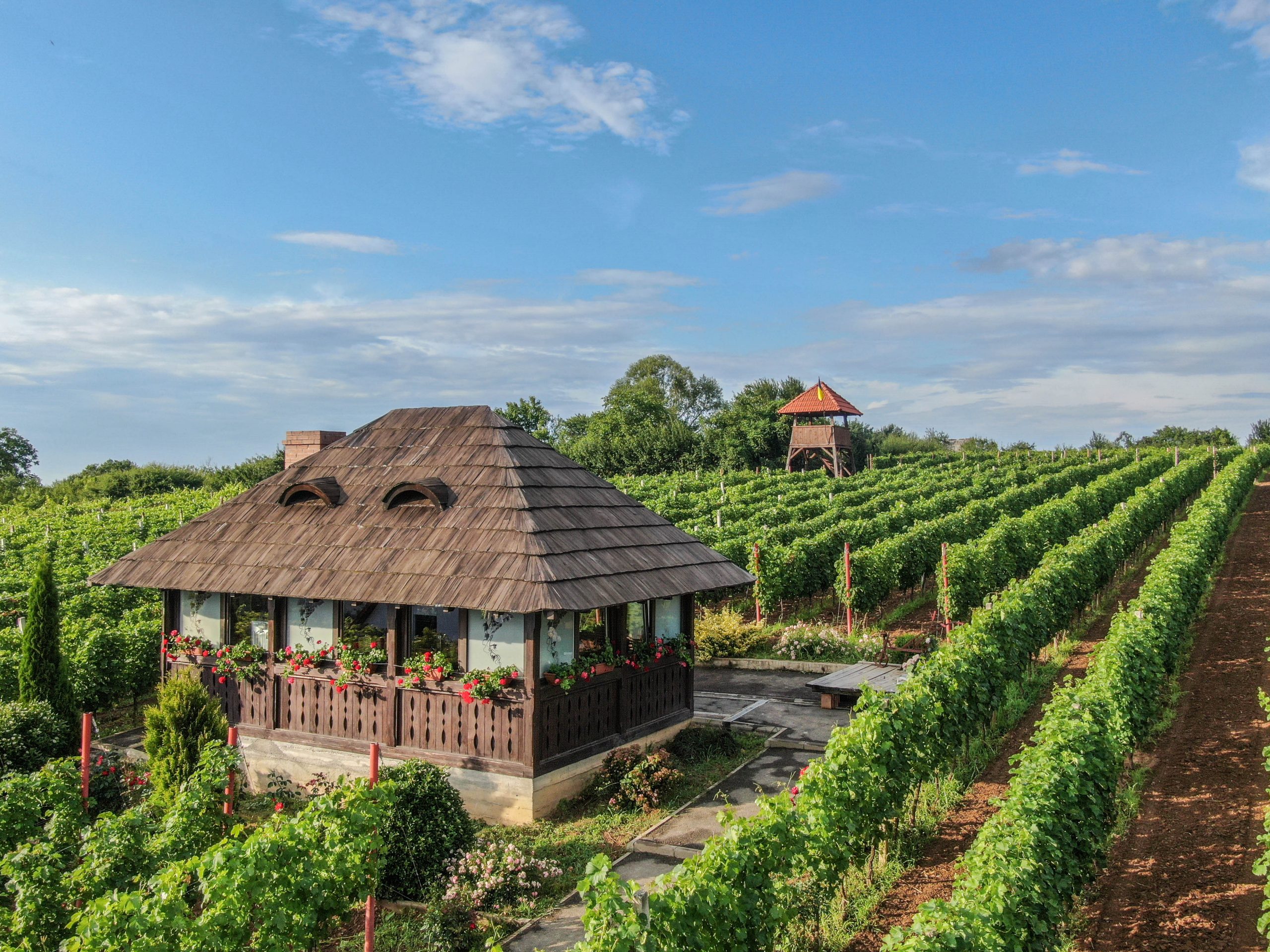 Crama - Crama Ardud Crama Ardud